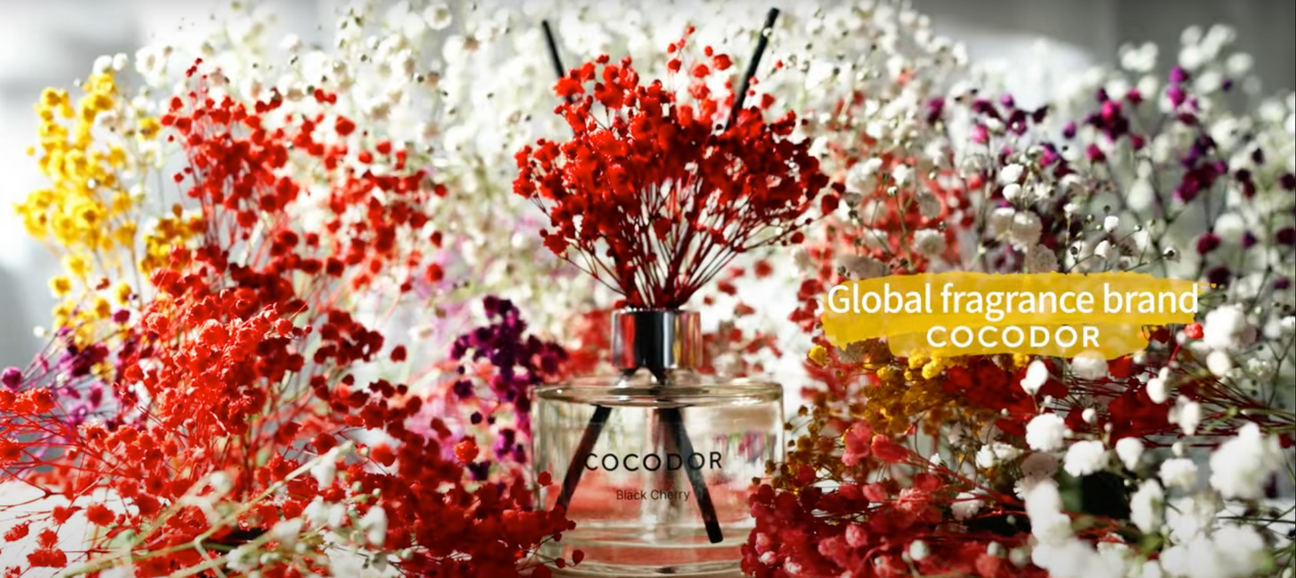 [New] Our Story – COCODOR US