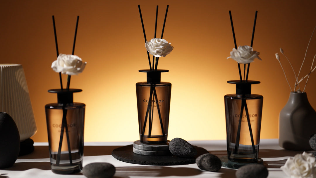 [Category] Luxury & Large Diffuser – COCODOR US