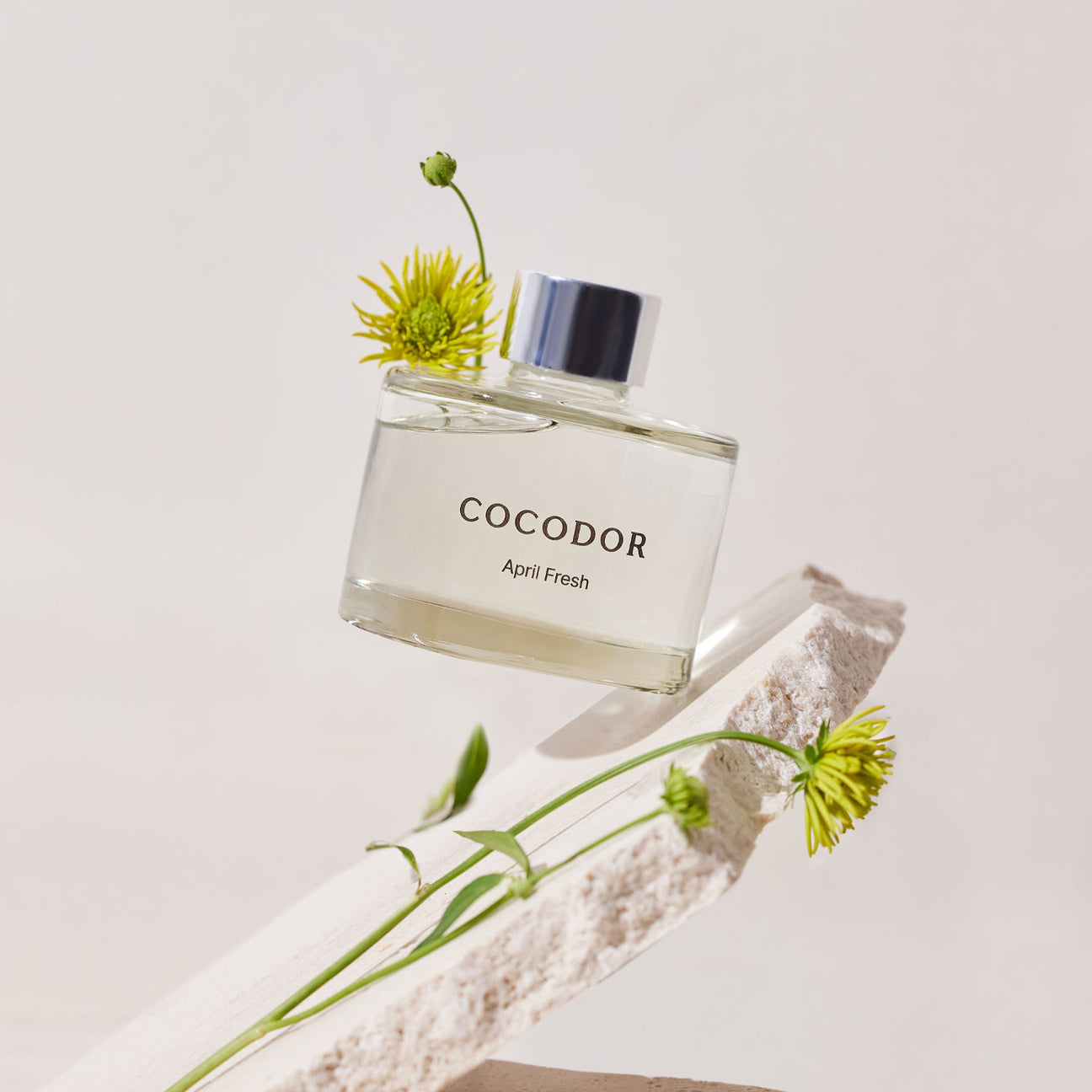 Scent List – COCODOR US